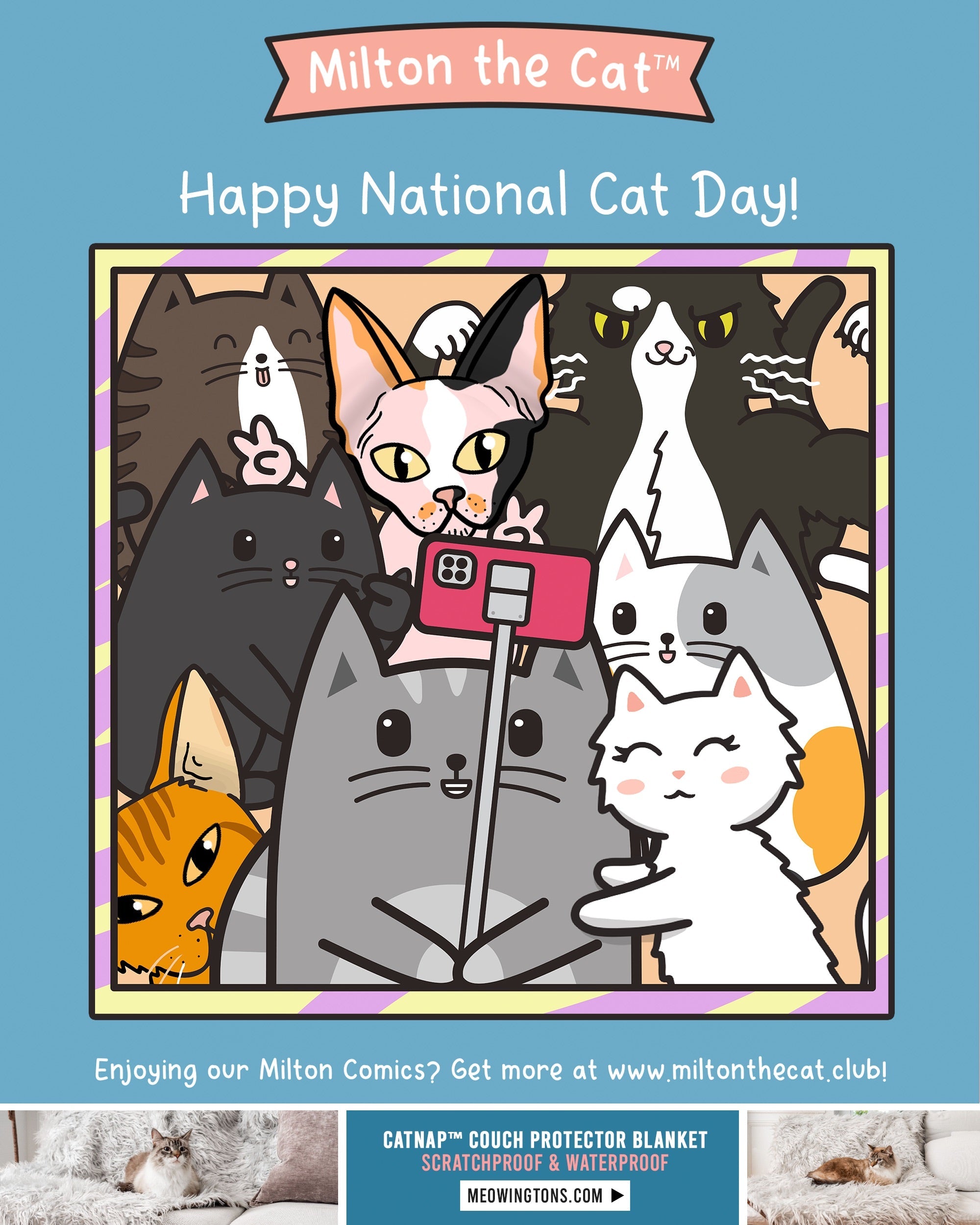 Say CHEESE! It's National Cat Day! – Meowingtons