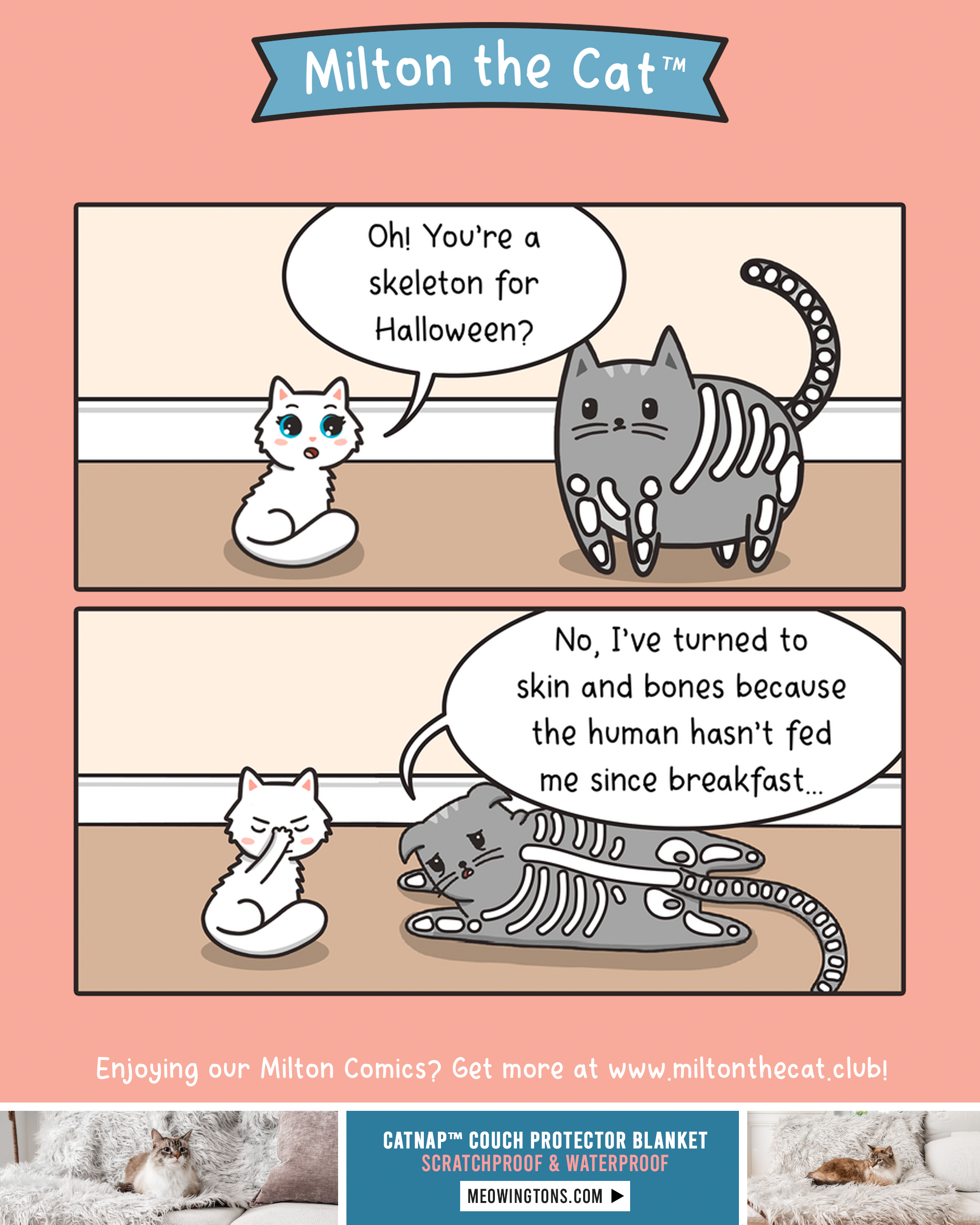 Woe is meow! – Meowingtons