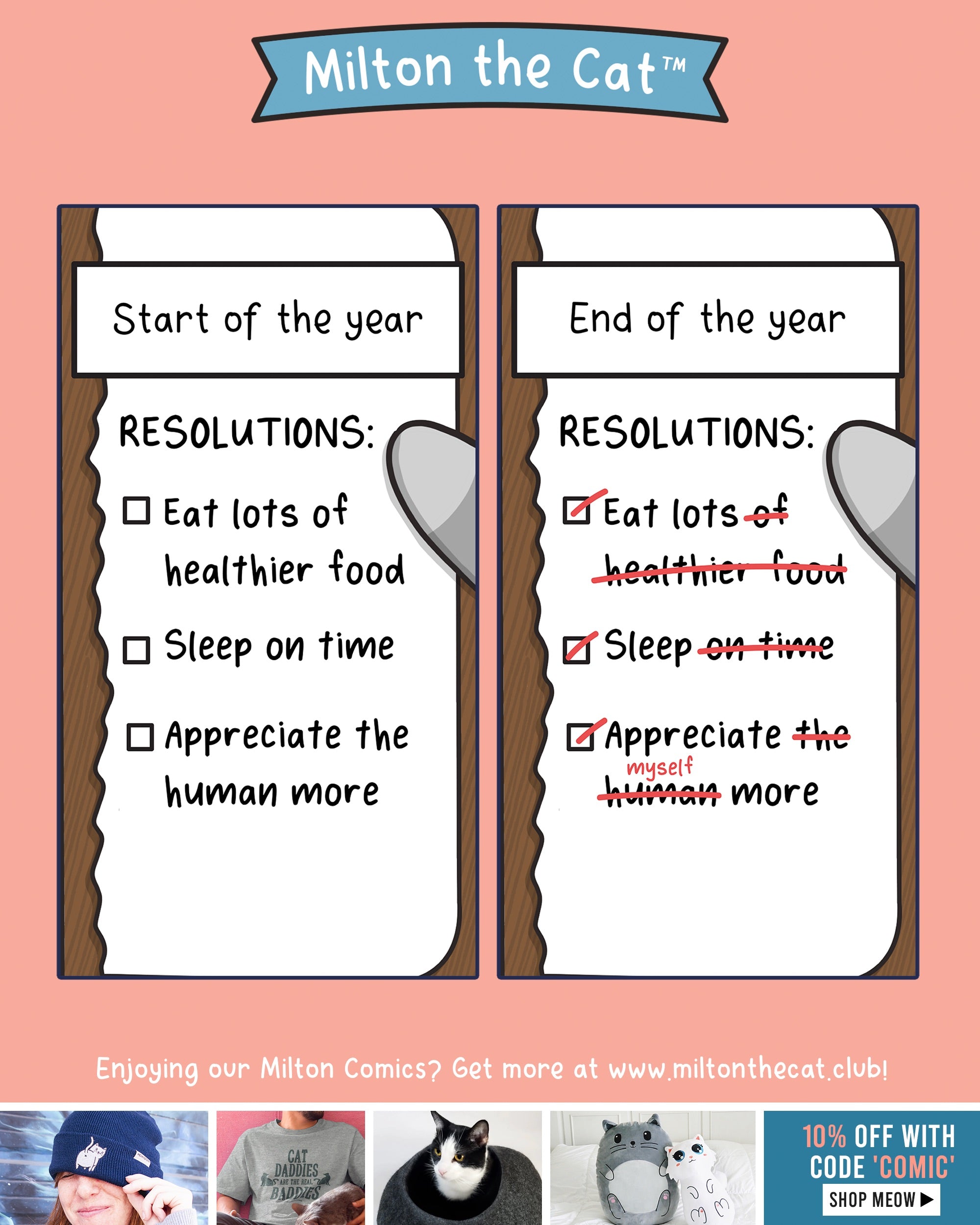 New Year's Resolutions Beginning Vs End – Meowingtons