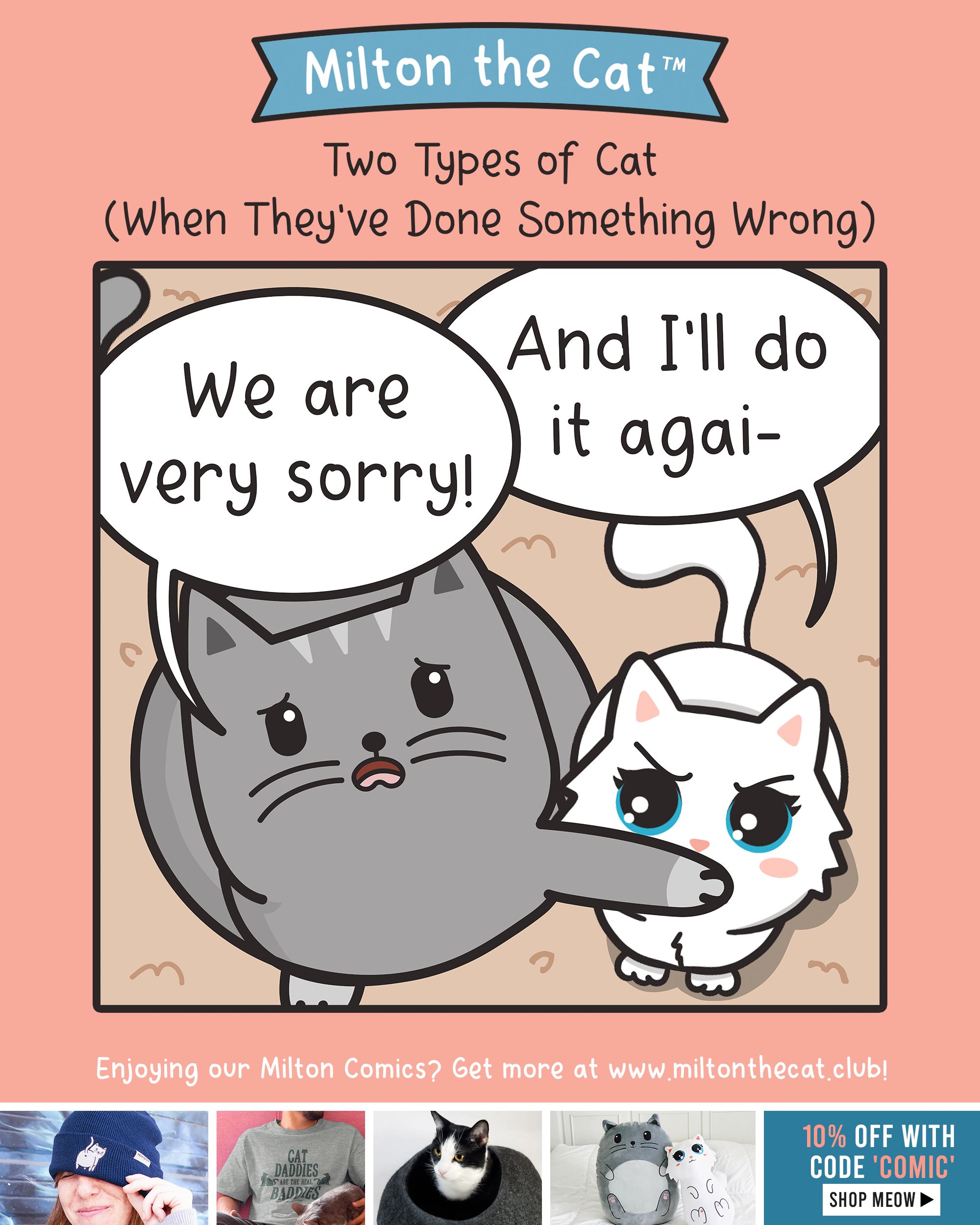 Two Types Of Cat (When They've Done Something Wrong) – Meowingtons