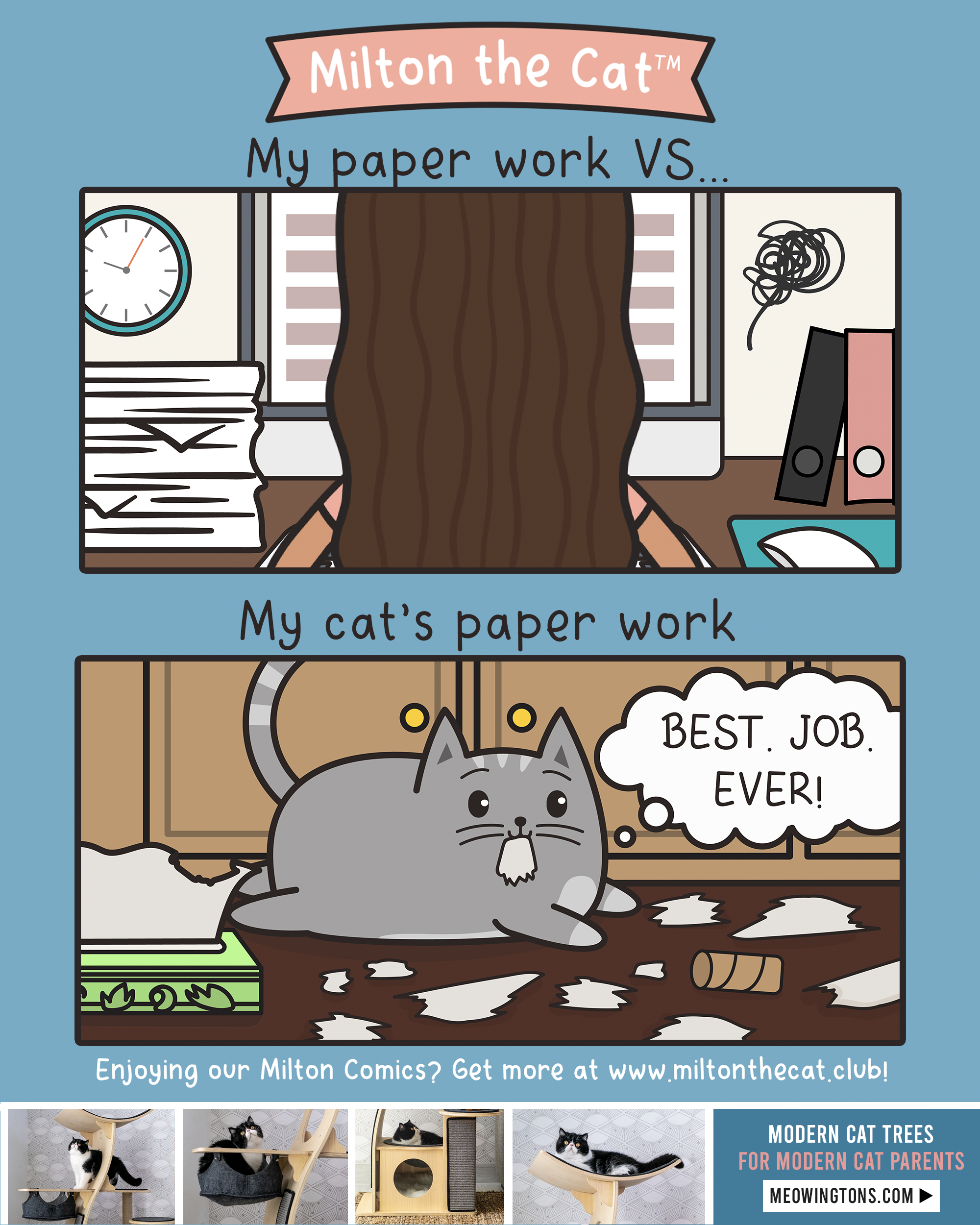 A Cat's Filing System – Meowingtons