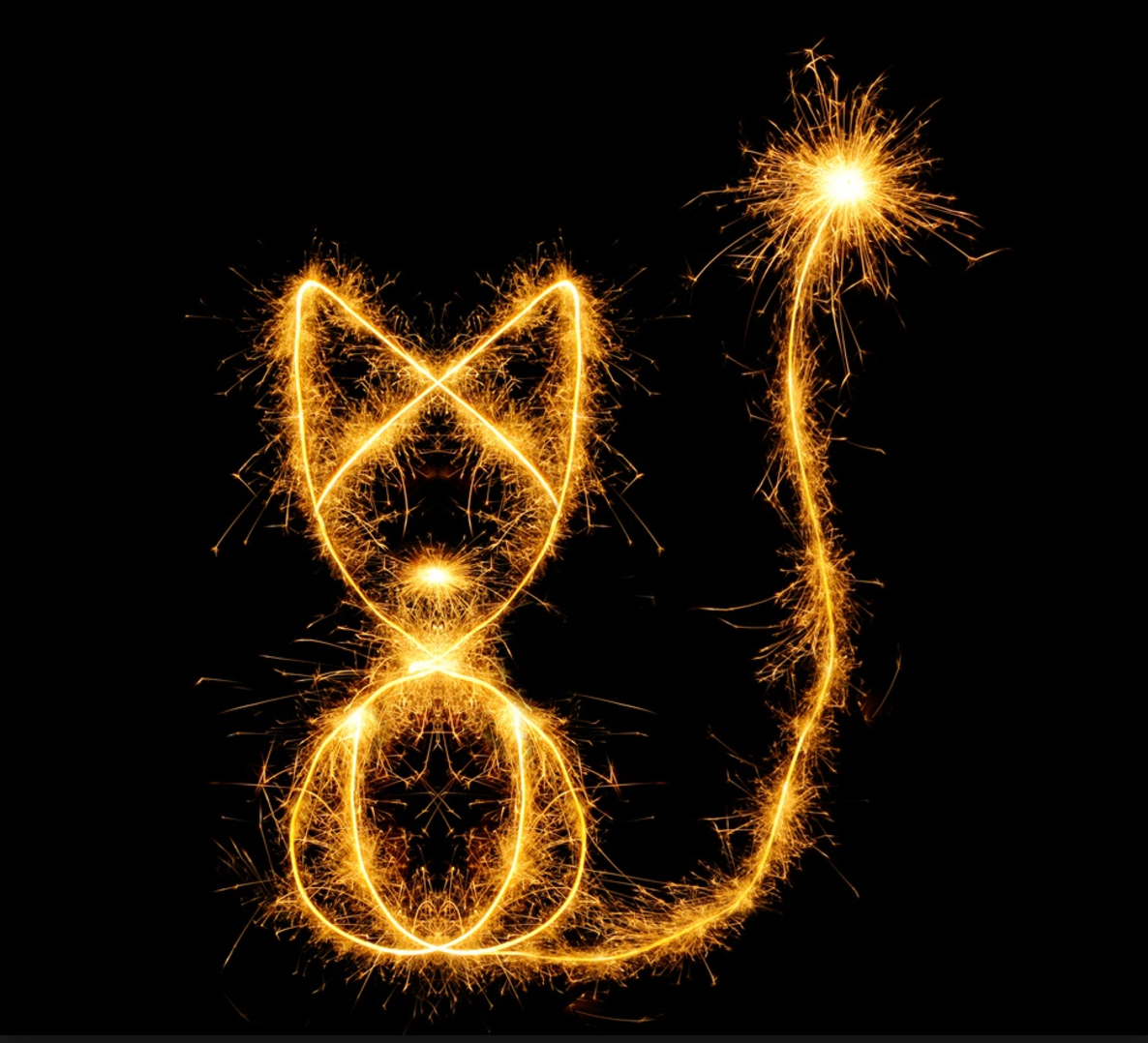 How to Help Your Cat Cope With Fireworks This July 4th – Meowingtons