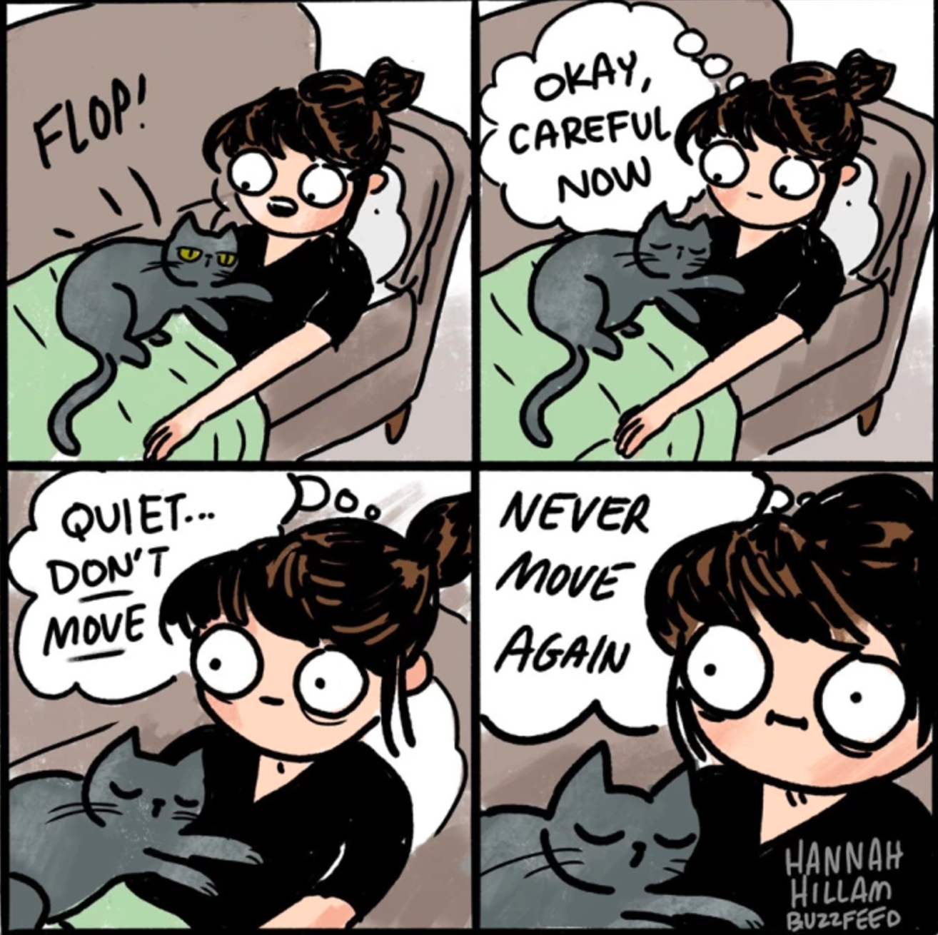 12 Handy-Dandy Skills Every Cat Owner Learns – Meowingtons