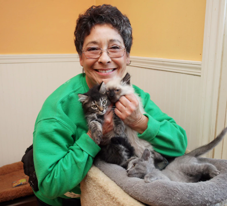 Ultimate Cat Lady Cares For Over 1,000 Cats (Video) – Meowingtons