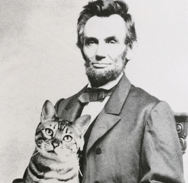 A Nation's Finest Felines: Presidential "First Cats" – Meowingtons