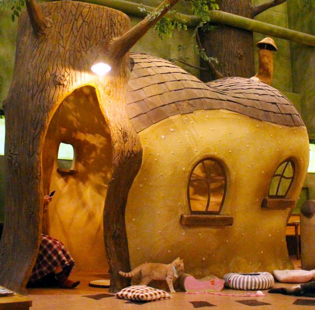 This Fantastical Cat Cafe Is Straight Out Of A Studio Ghibli Film ...