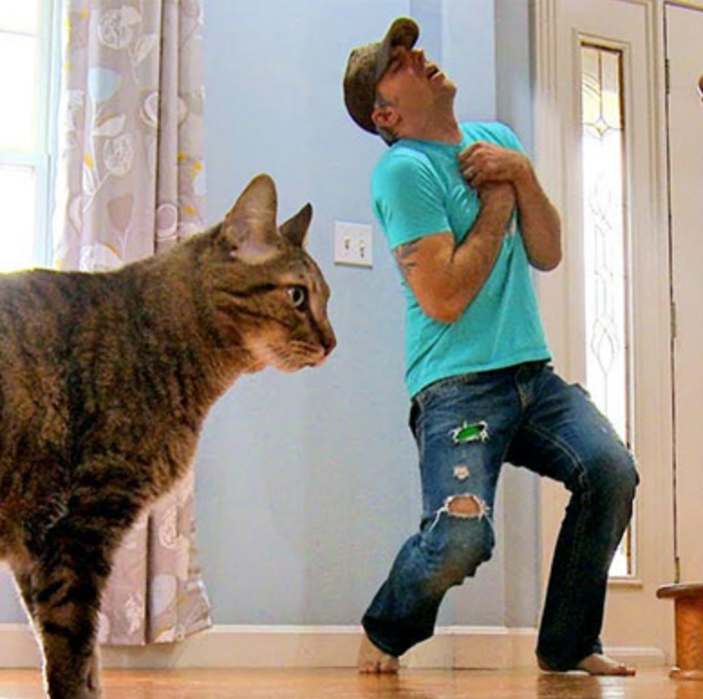 Cat Owner Fakes His Death To Test His Cat – Meowingtons