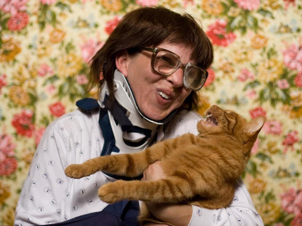 14 Cat Glamour Shots that Are Just Too Galmorous to Pass Up – Meowingtons