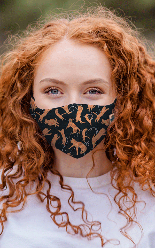 Reusable and Washable Face Mask (3 Pack) – Meowingtons